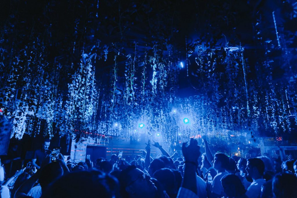 Treehouse in Miami Beach Suddenly Shuts Down | EDM Identity