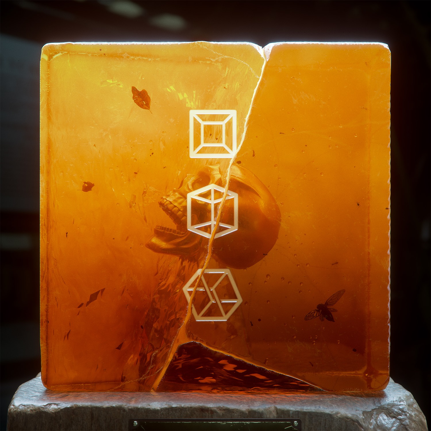 DROELOE Releases 'A Matter Of Perspective' on bitbird | EDM Identity