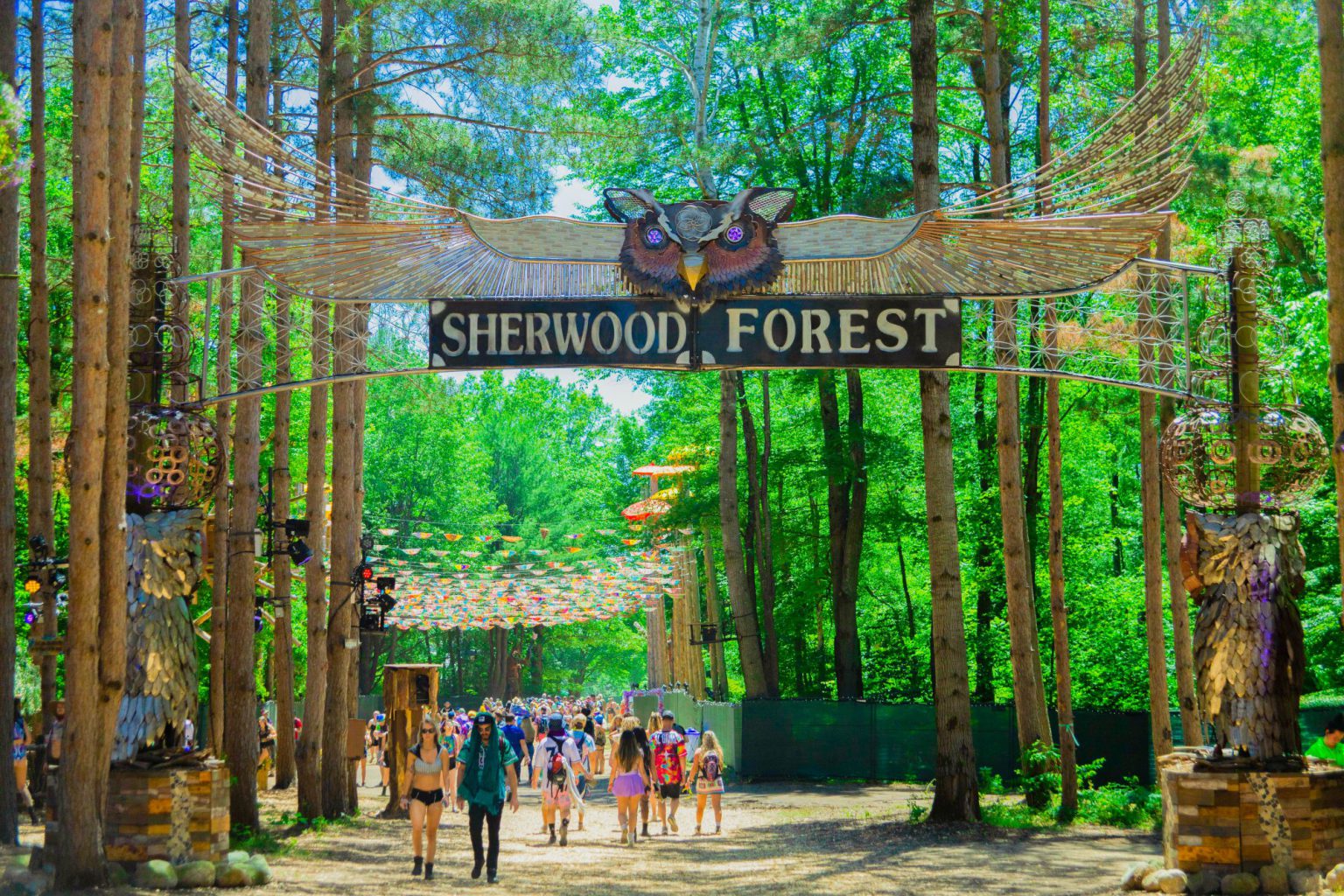 Electric Forest Brought the Magic Back to Sherwood Forest | EDM Identity