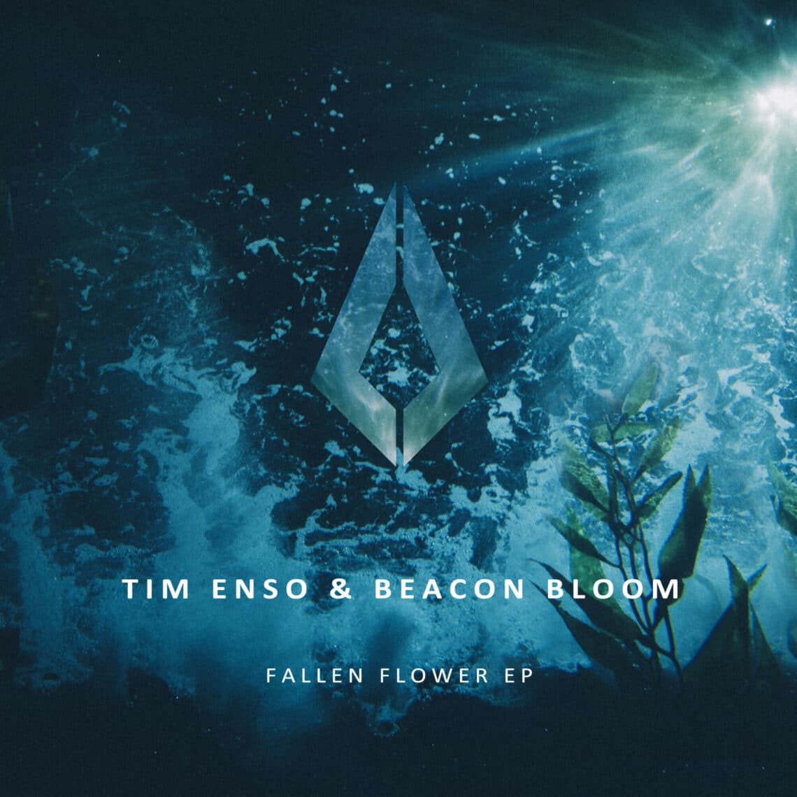 Tim Enso & Beacon Bloom Serenade Souls on 'Fallen Flower' EP | EDM Identity