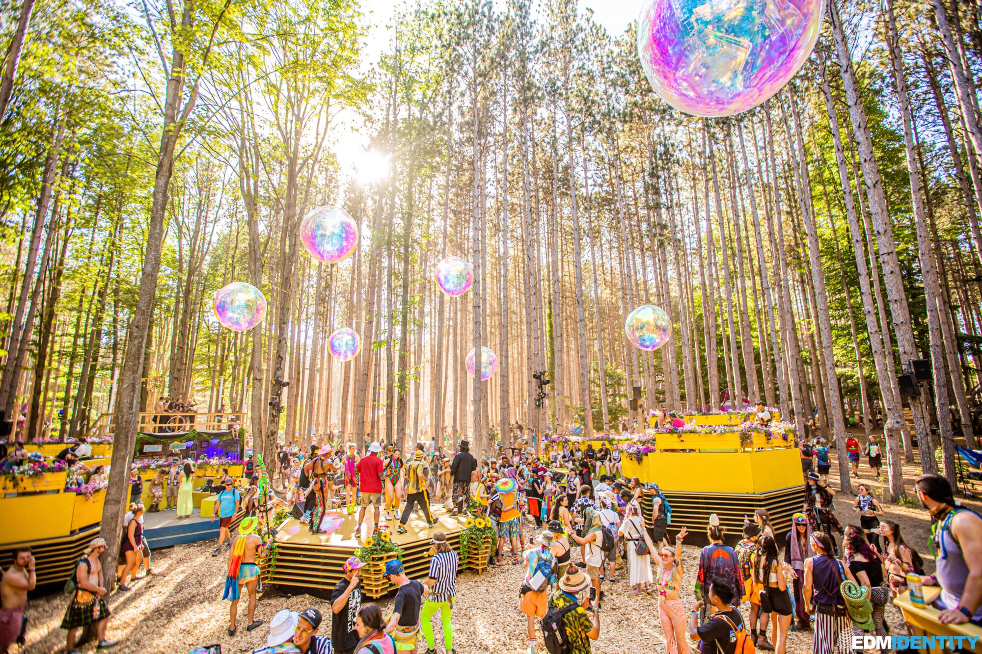 Three Elements That Make Electric Forest One Of A Kind | EDM Identity