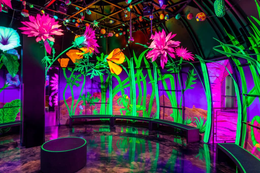 Meow Wolf to Lay Off 165 Employees in Multiple Locations | EDM Identity