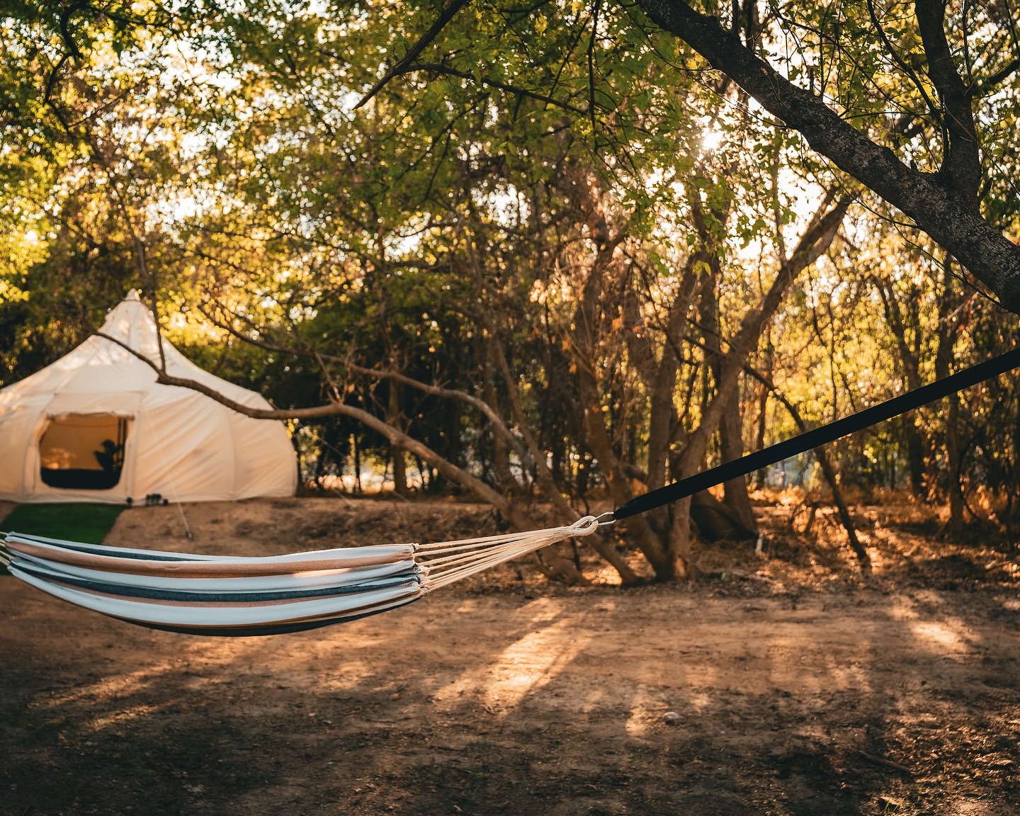 Off The Grid Campout Cancels Upcoming Austin Edition | EDM Identity