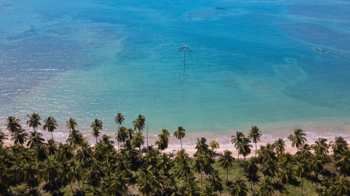 Damian Lazarus Announces Debut Edition Of Day Zero In Brazil | EDM Identity